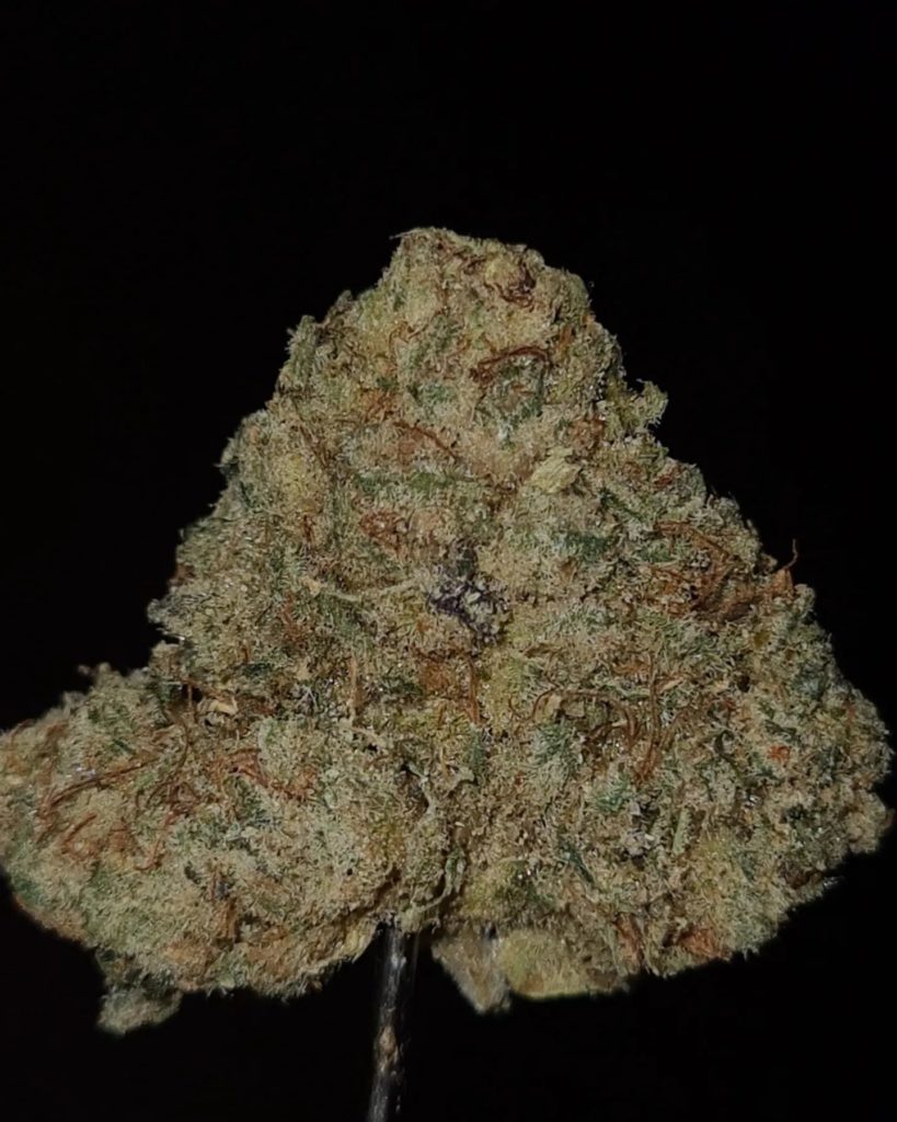 Strain Review: Fujiwhara by Jungle Boys - 420cannadispensary.com